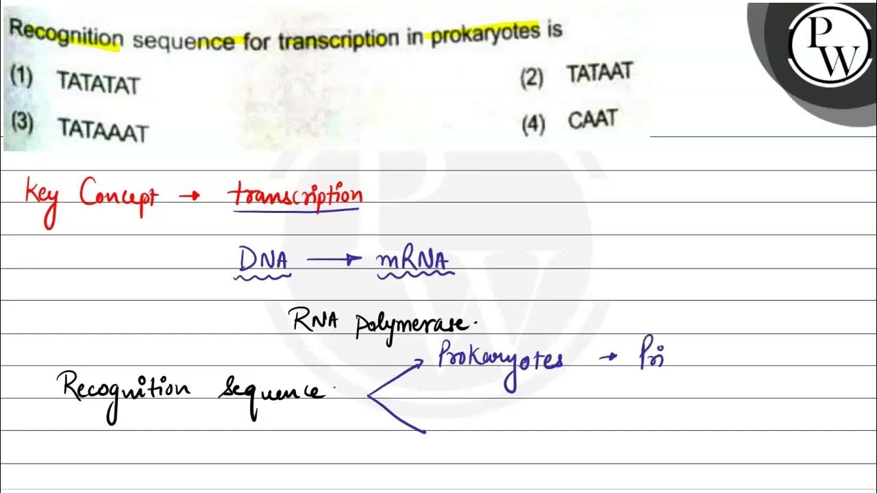 Recognition sequence for transcription in prokaryotes is (1) TATATA ...