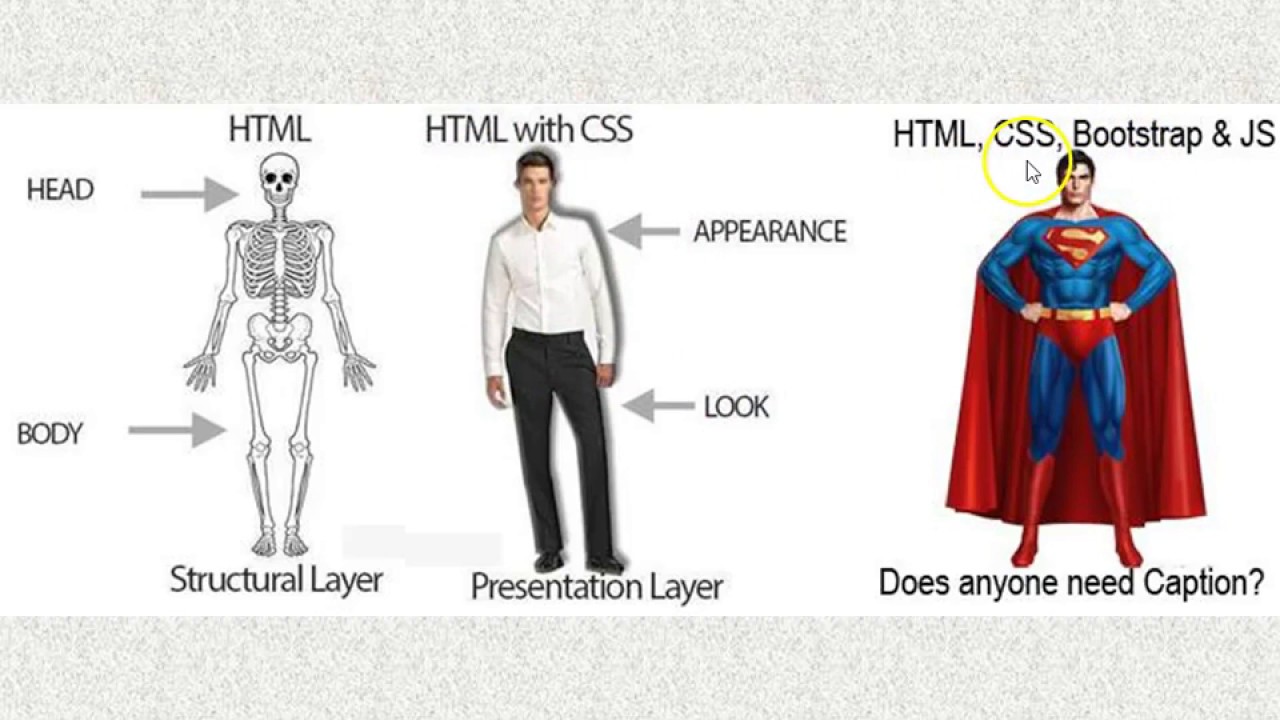 Basics Of Java Script Learn With Fun Youtube 8161