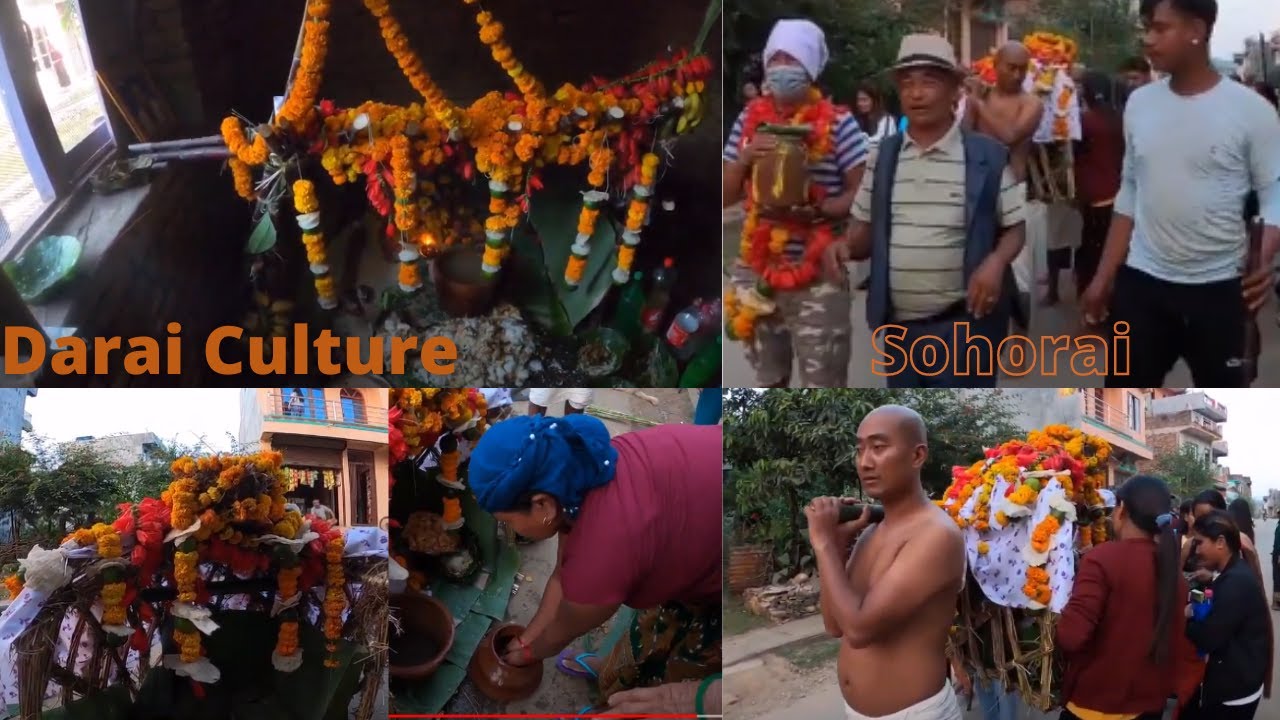 दरै जाति को तिहारे औंसी मा गरिने मृत्यु संस्कार /सोहोराई / सहरा ...