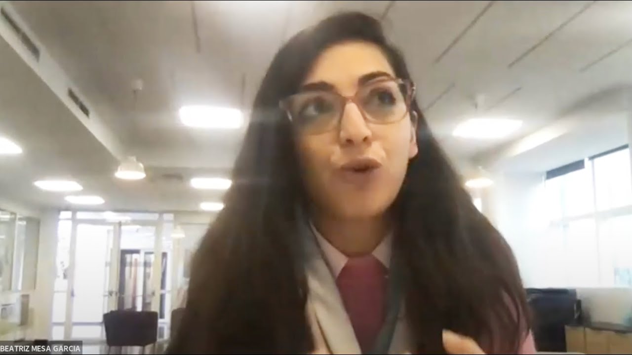 Beatriz Mesa : Les groupes armés du Sahel. Conflits et économie ...