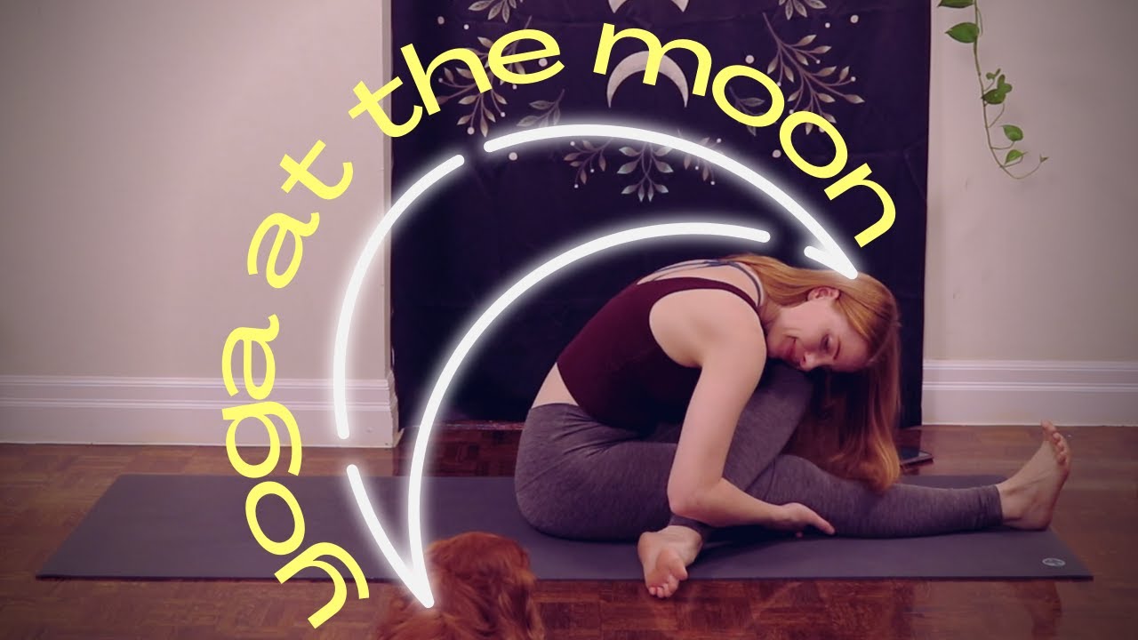 25 MIN Yin Yoga for Better Sleep | Yoga at the Moon - YouTube