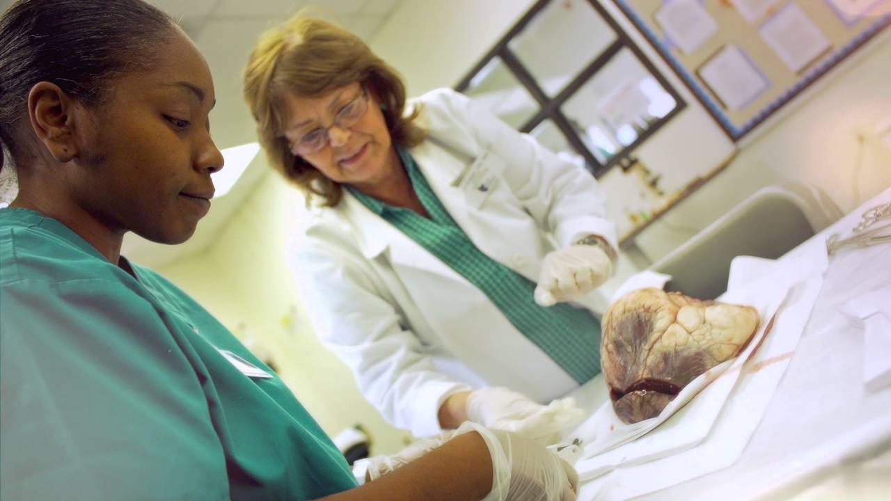 2016 LTC Health Science - YouTube