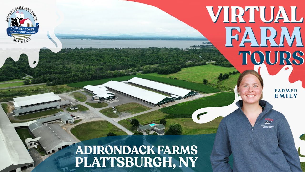 Adirondack Farms Virtual Farm Tour - YouTube