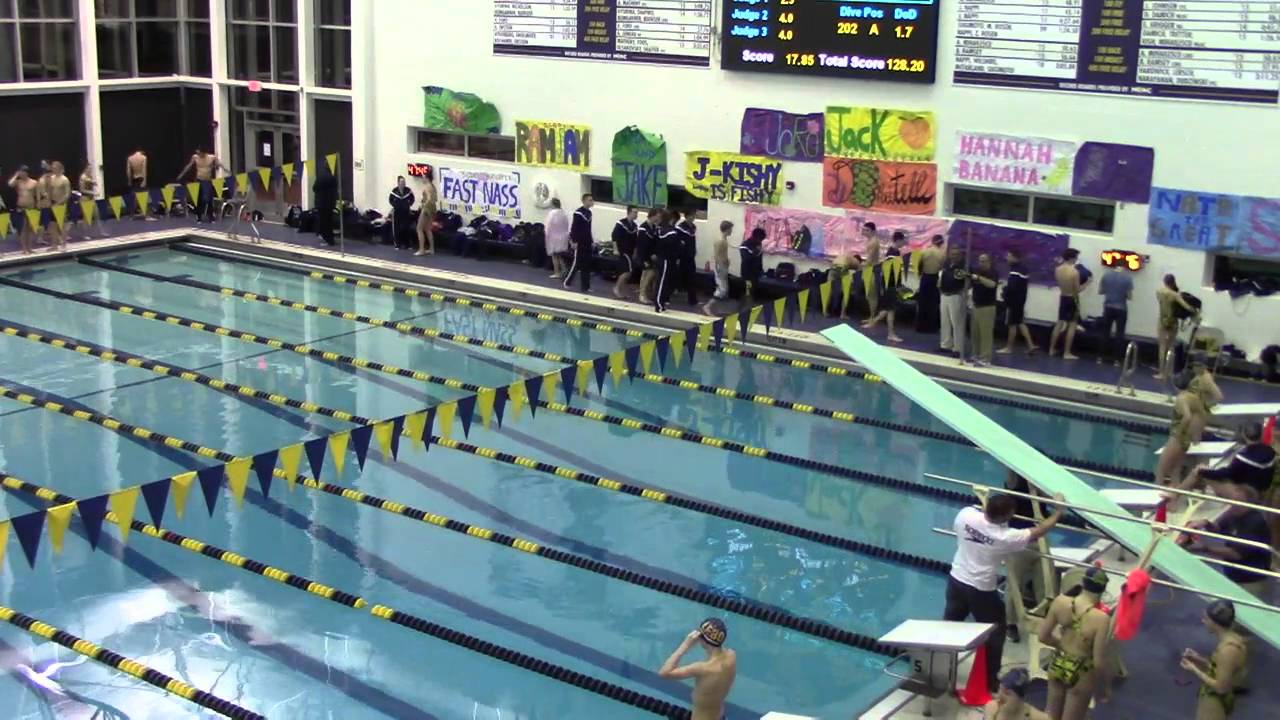 Mt. Lebanon Swimming 2/2/16 - YouTube