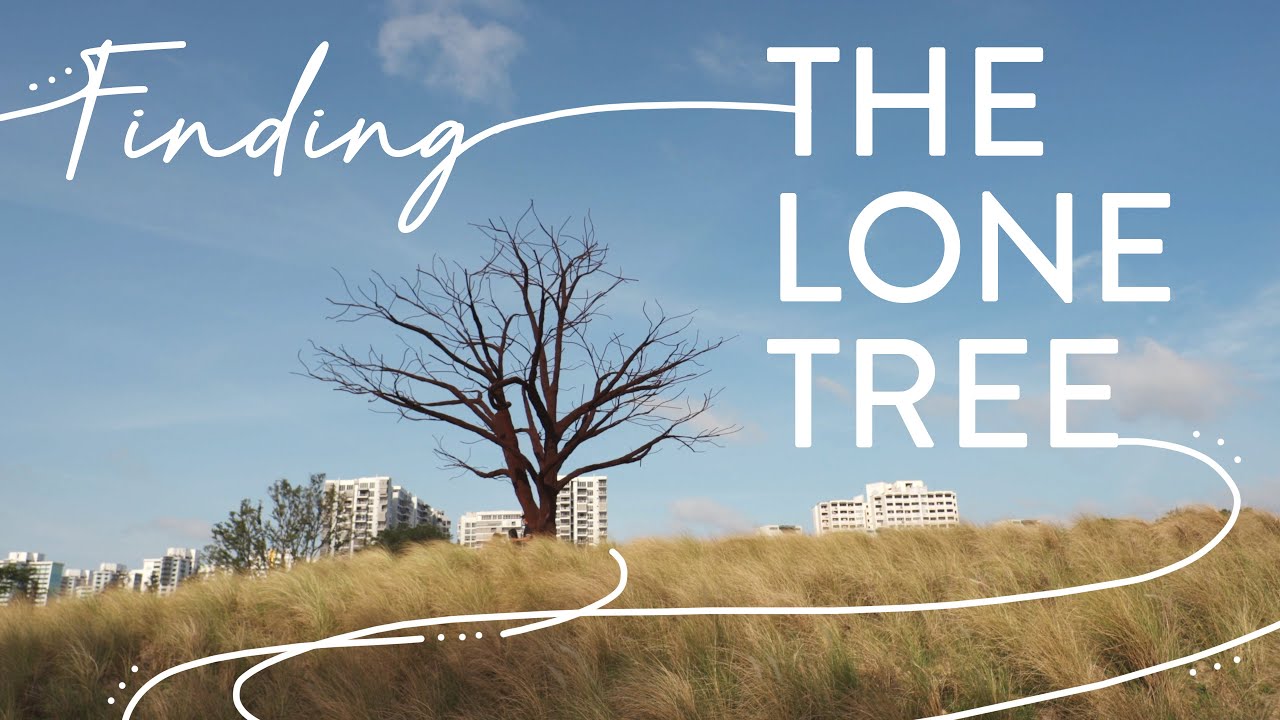 Finding the Famous Lone Tree | Jurong Lake Gardens Singapore - YouTube