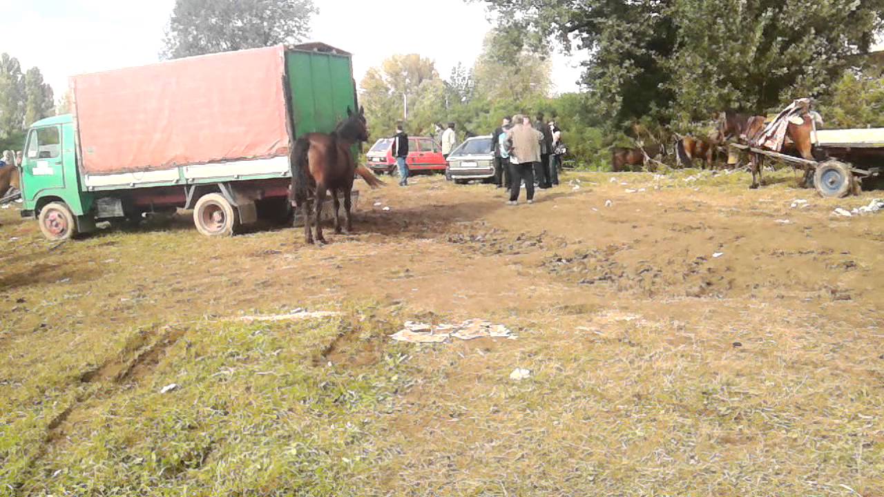 Sabacki vasar 2 - YouTube