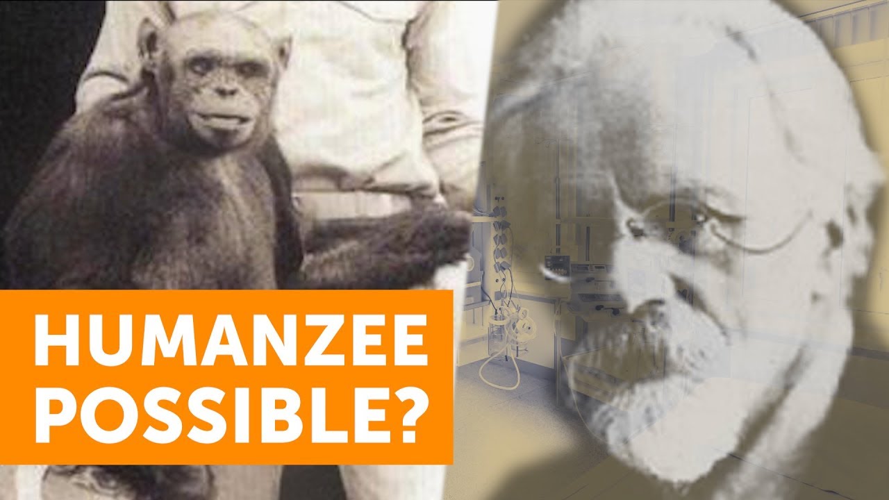 Oliver The Humanzee
