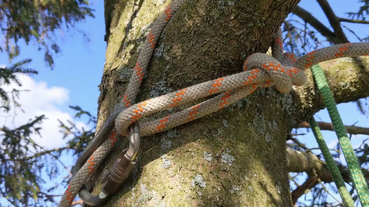 [Subcontracting Tree Climber] - Ziplineing a Norway Spruce - YouTube
