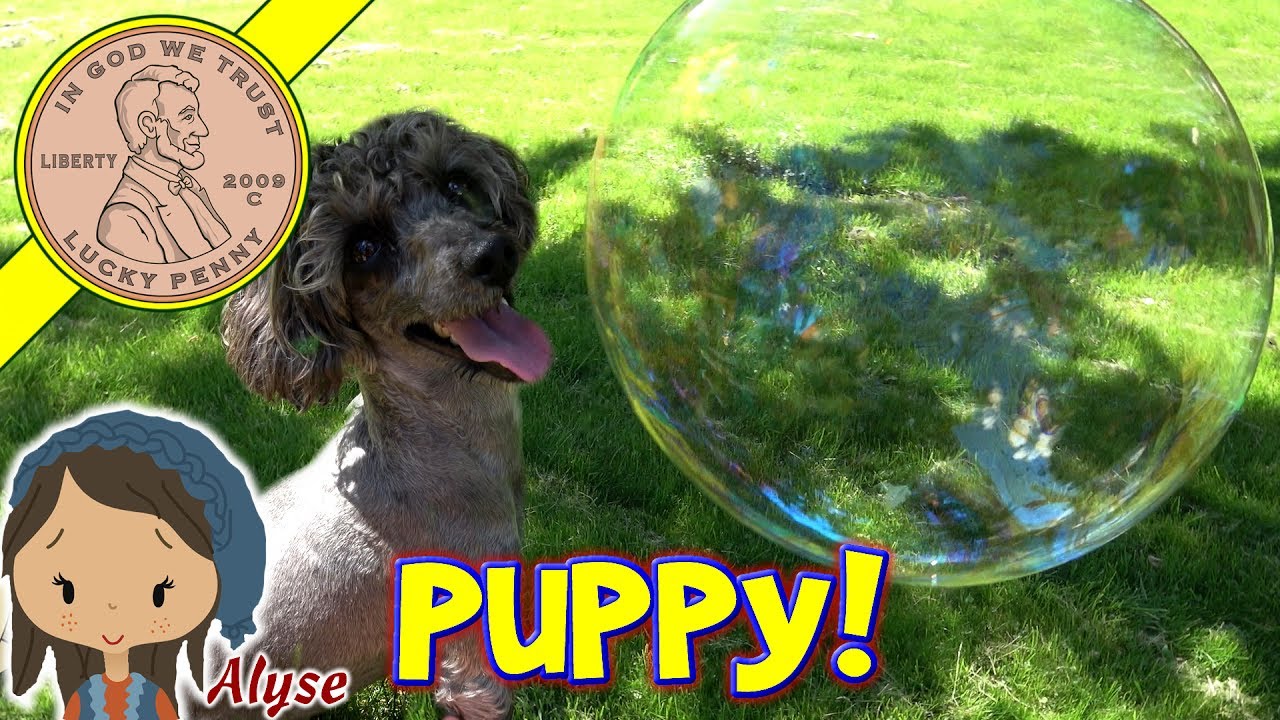 Giant Bubble Power Wand Gazillion Bubble Machine - Bubbles & Burping ...