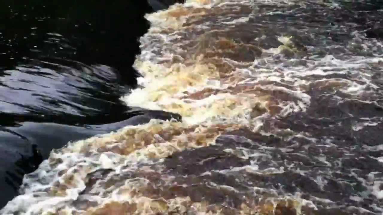 Fast Flowing River - YouTube