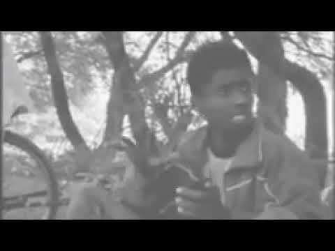 ود المزاد - كلام كتير | wd Almzad -[official vedio]kalam kater