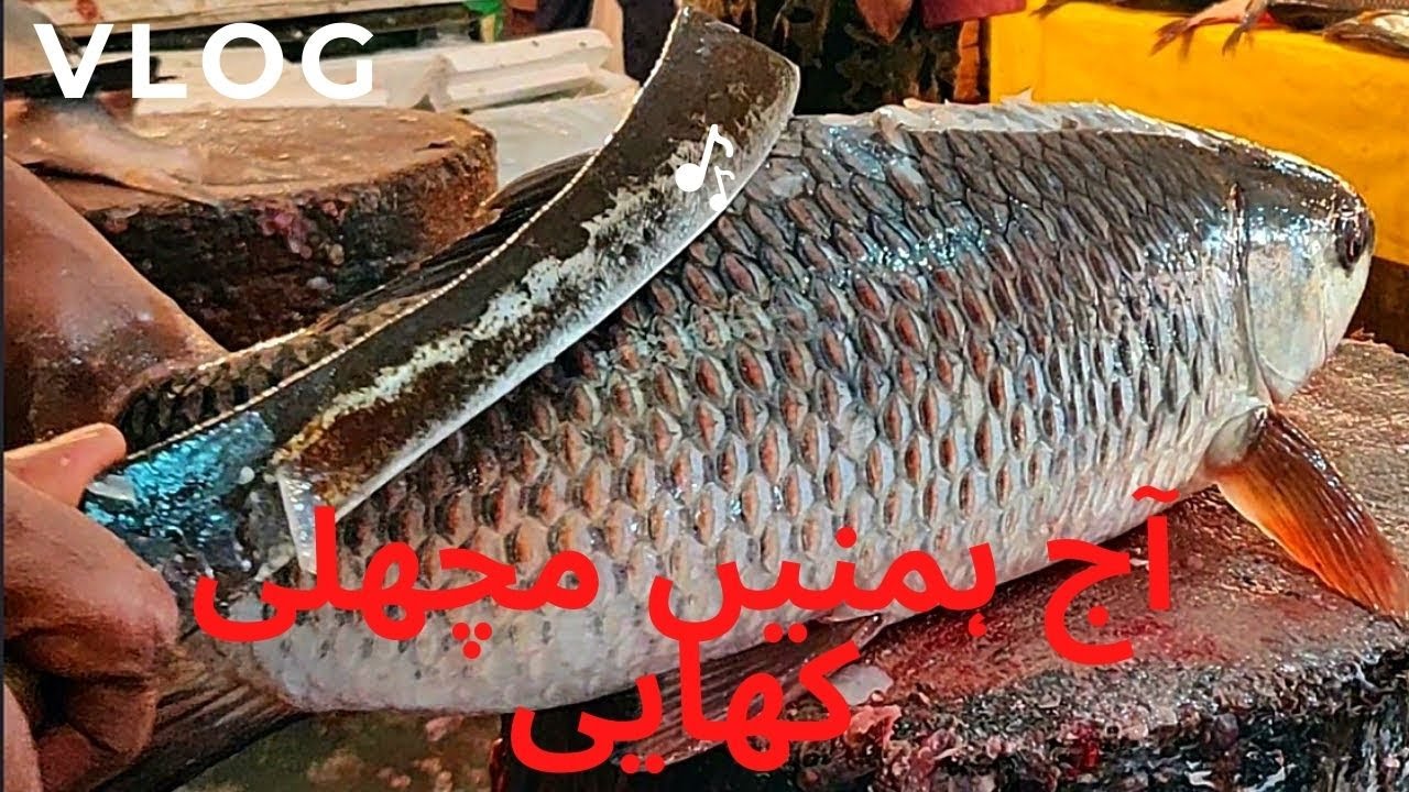 آج ہمنیں مچھلی کھایی (fish) | Vlog | Zafar Aryana - YouTube