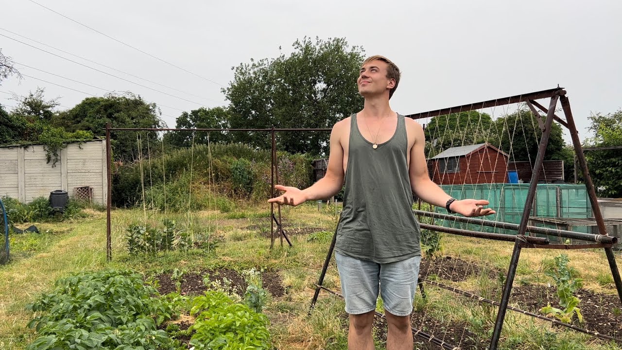 New Allotment Day 12 & 13 - Getting ready to leave the allotment. - YouTube