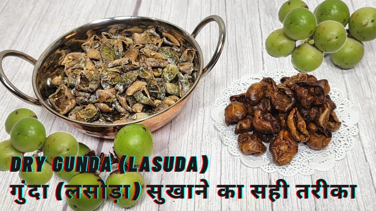 Dry Lasuda Recipe|साल भर के लिए लसोड़े को कैसे स्टोर करे|Gunda ki ...