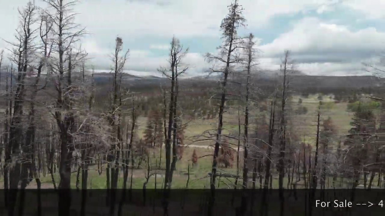 430 Wagon Mesa Loop Road. Forbes Park Colorado - YouTube