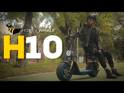 Conociendo el H10 - YouTube