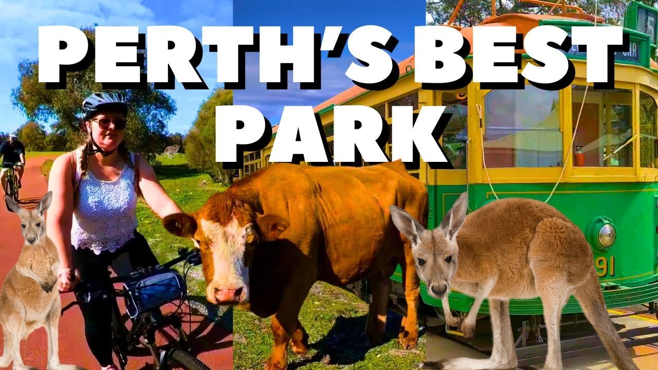 Ultimate Guide to Whiteman Park | Perth Hidden Gems - YouTube