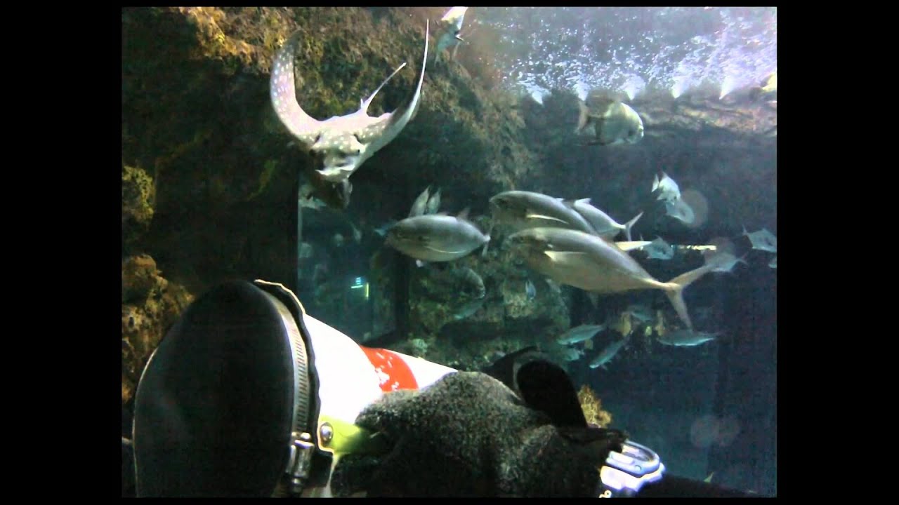 Dinner with Twister - YouTube