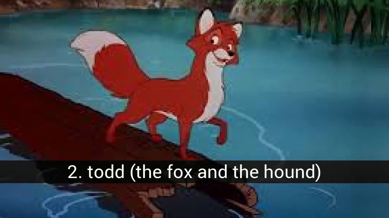 Most famous FOXES - YouTube