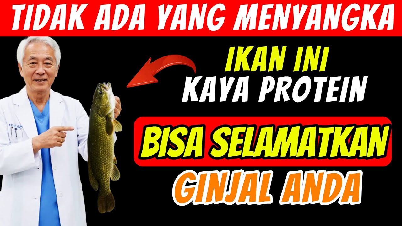 5 IKAN KAYA PROTEIN PENYELAMAT ALAMI GINJAL ANDA! - YouTube