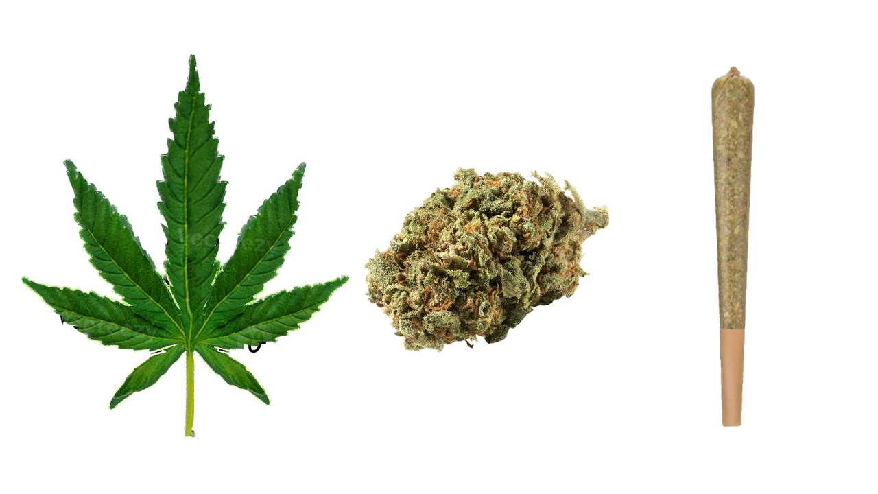 Prvo Takmičenje u Rolanju Buksne (PUKET VLOG 1) - YouTube