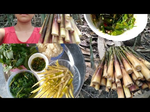 Lov tshuag xyoob iab thiab zaub qus qab heev - YouTube