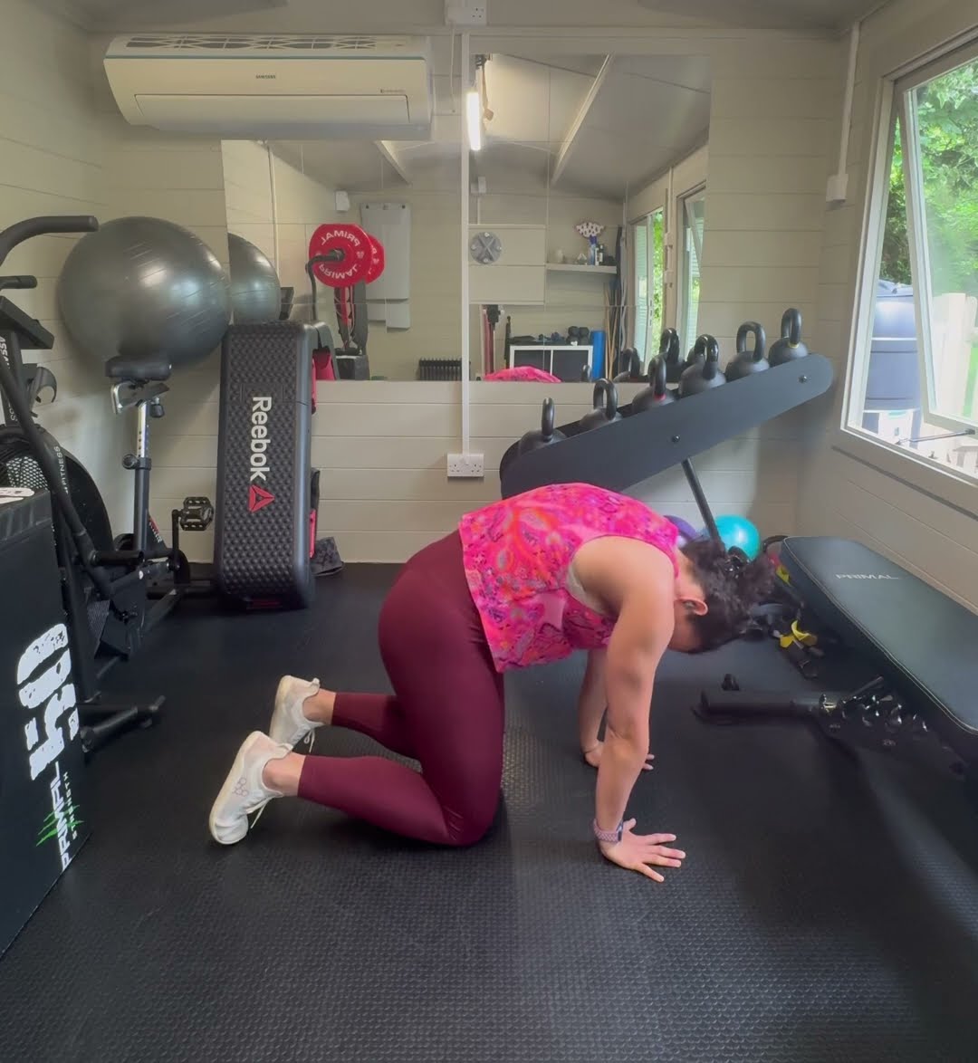 Spine cat-camel segmentation - YouTube