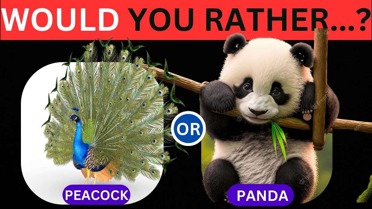 "Would You Rather Animals Edition... " 🐶🦚🐼 - YouTube