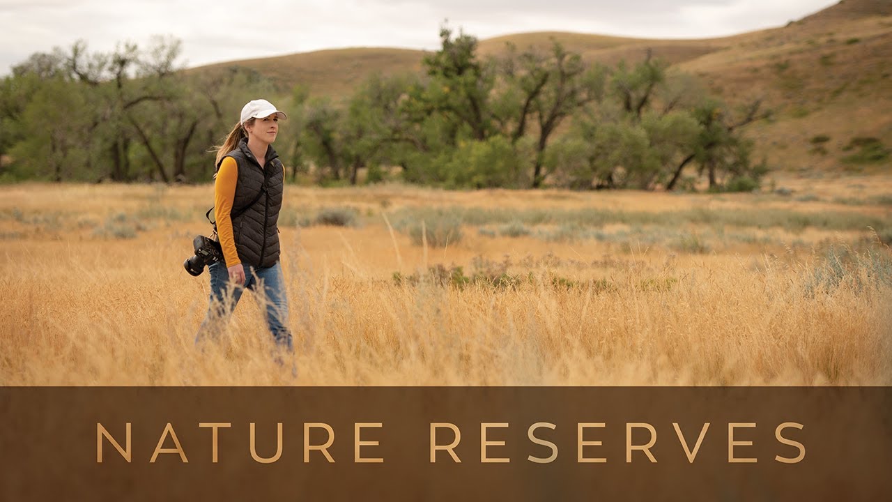 Lethbridge Nature Reserves - YouTube