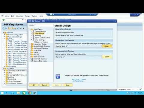 How To change SAP Font Size | SAP Font - YouTube
