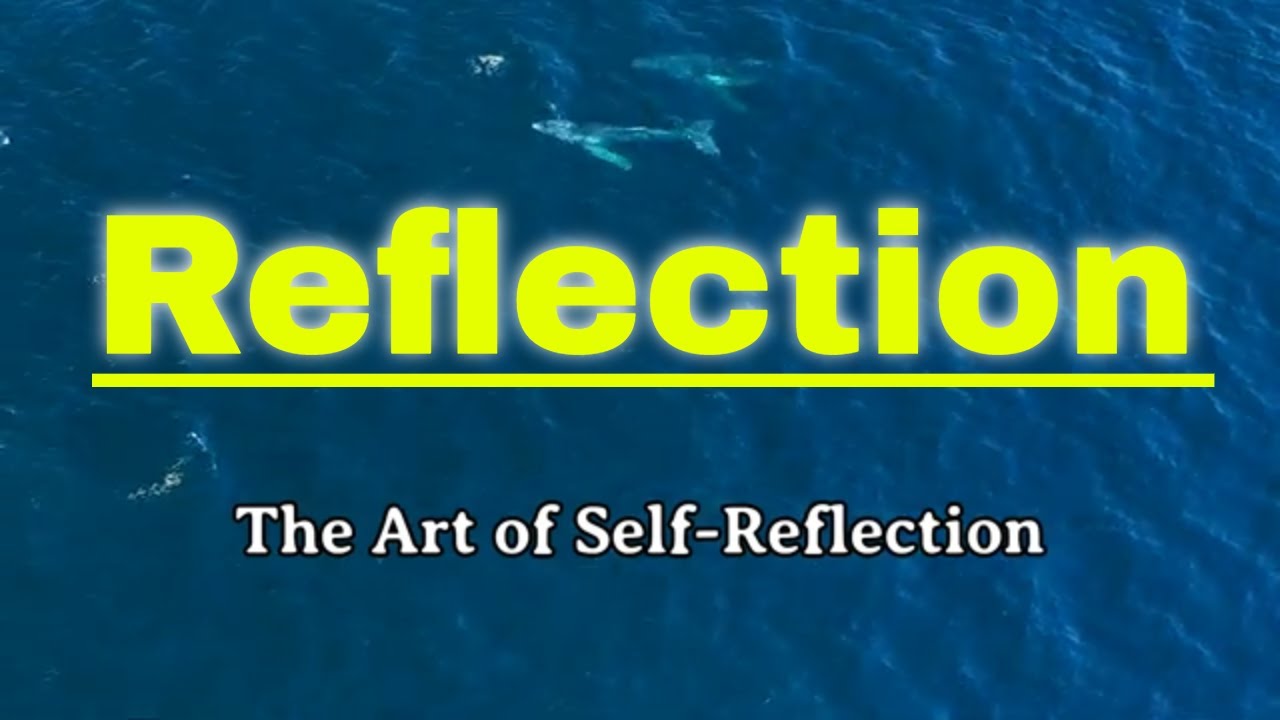 The Art of Self Reflection - YouTube