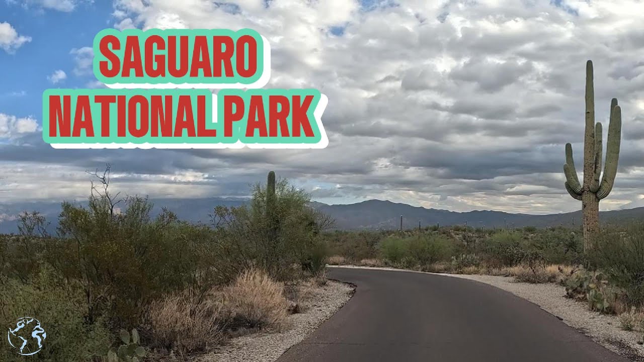 Saguaro 🌵 National Park Scenic Loop Drive + + Side Dirt Road Adventure ...