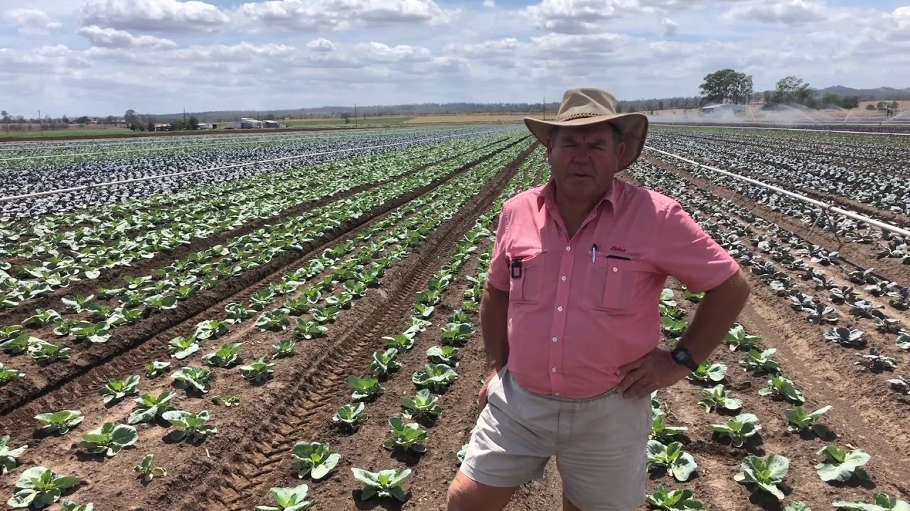Greg Teske, Horticultural Agronomist with Elders Gatton - Plemax ...