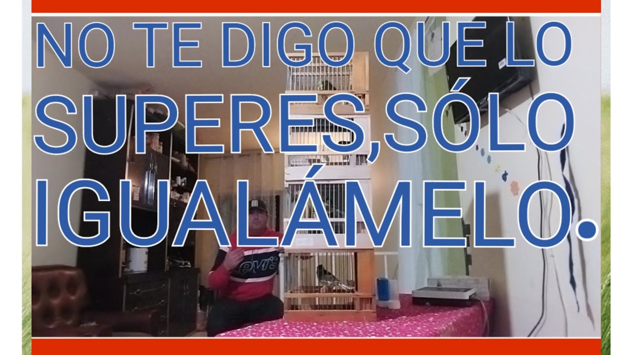 NO TE DIGO QUE LO SUPERES,👀SÓLO IGUALÁMELO.🇪🇸🐦 - YouTube