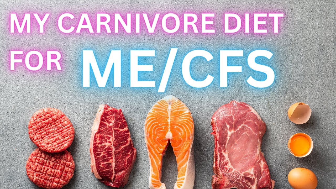 Daily Eating on Carnivore Diet (healing from ME/CFS) - YouTube