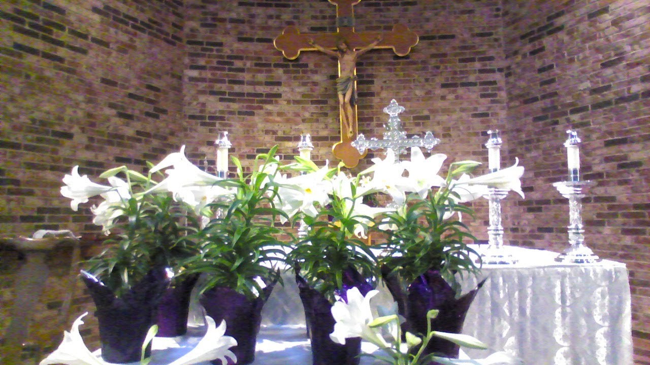 Newman Center Easter Sunday Mass 11am - YouTube