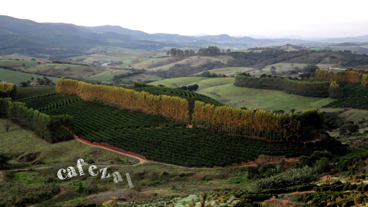 Unique Cafés - Uma História Única para um Café Único - YouTube