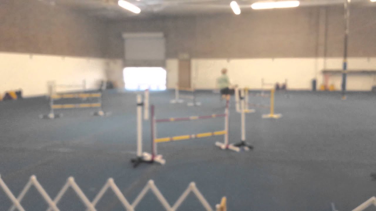 Phoenix 1st jumpers q.3gp - YouTube