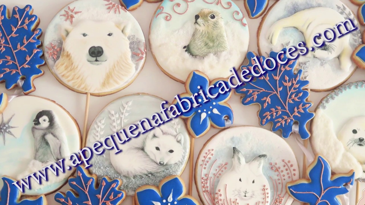 Foca da Neve - YouTube