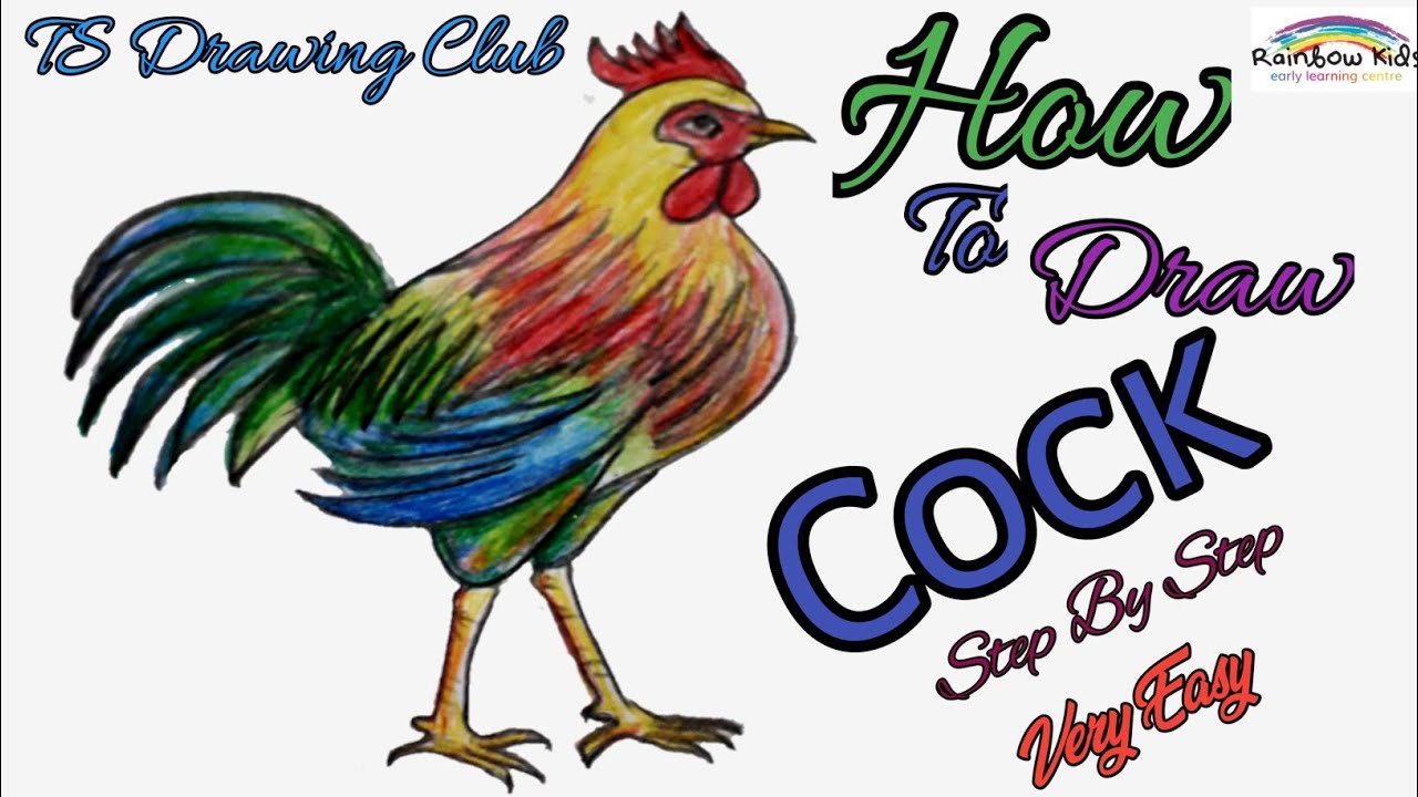 #How To Draw & Colour a Cock || step by step || very easy way. - YouTube