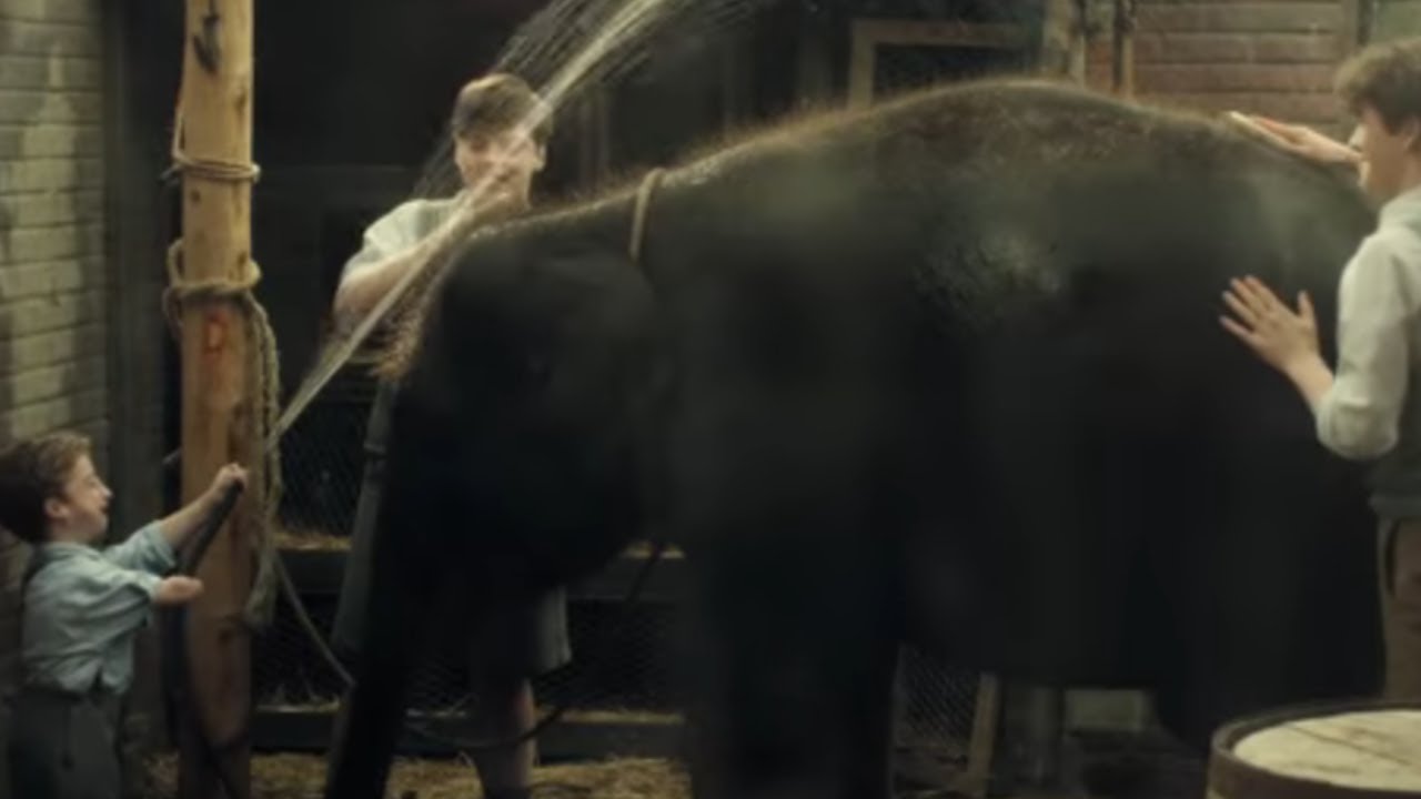 ZOO | Officiële trailer - YouTube