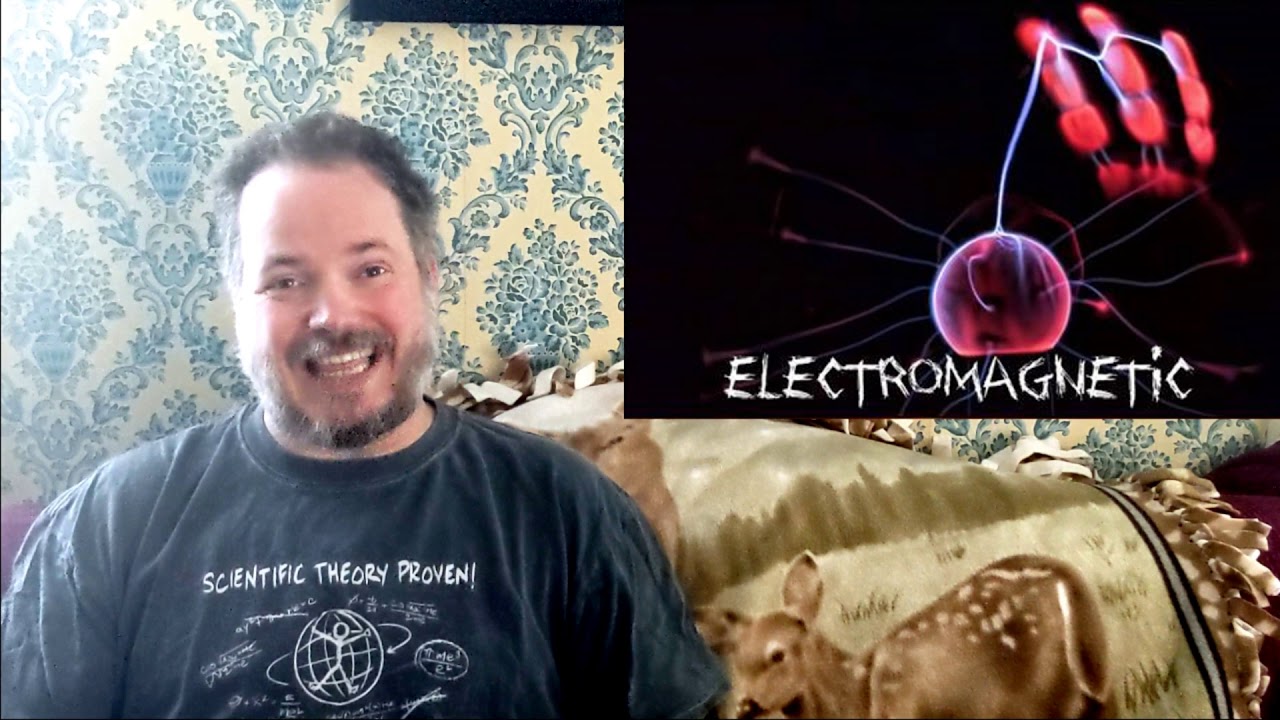 The Standard Model 1: The Four Fundamental Forces - YouTube