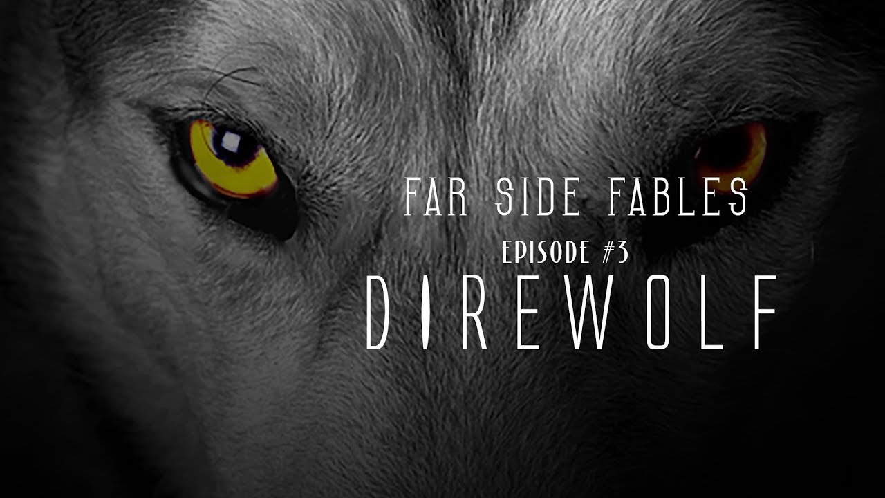 IS THIS A REAL MYSTERIOUS DIRE WOLF CAUGHT ON FILM? - YouTube