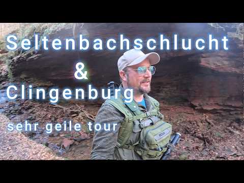 Wandern,Clingenburg, Schlucht und Natur: Mein unvergessliches Wandererlebnis in Klingenberg am Main.
