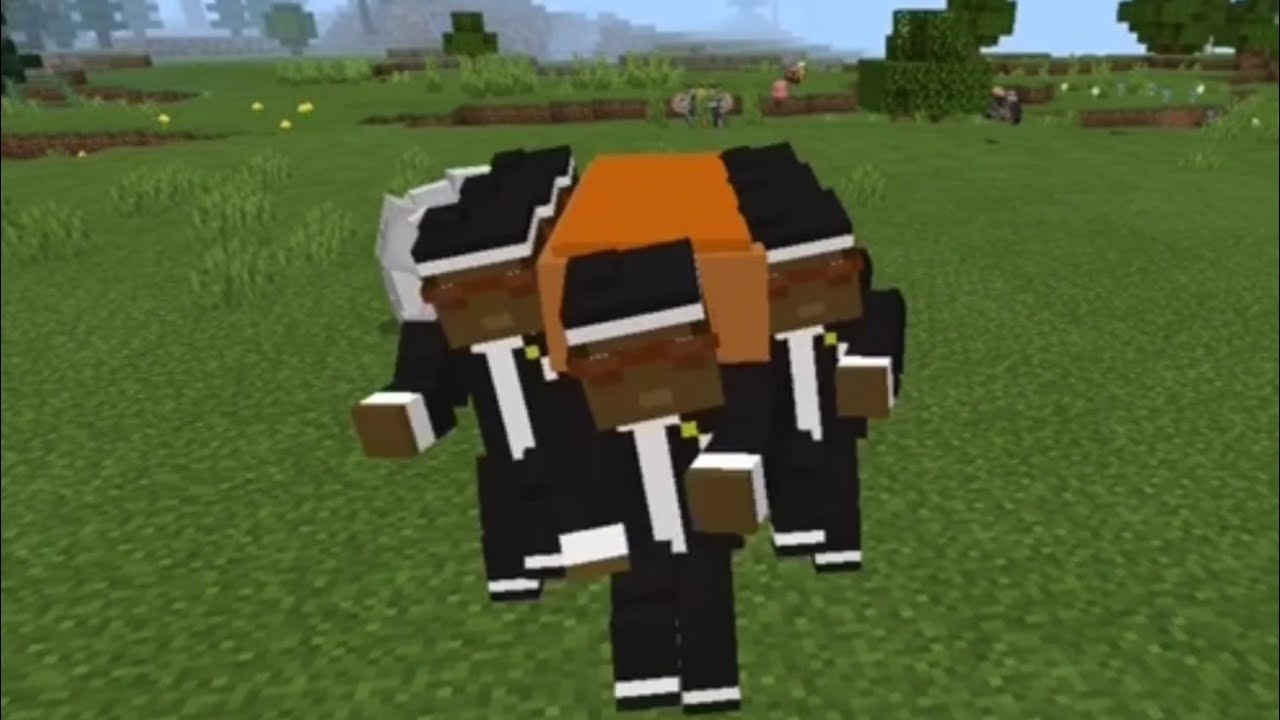 Minecraft | Coffin Dance Meme - YouTube