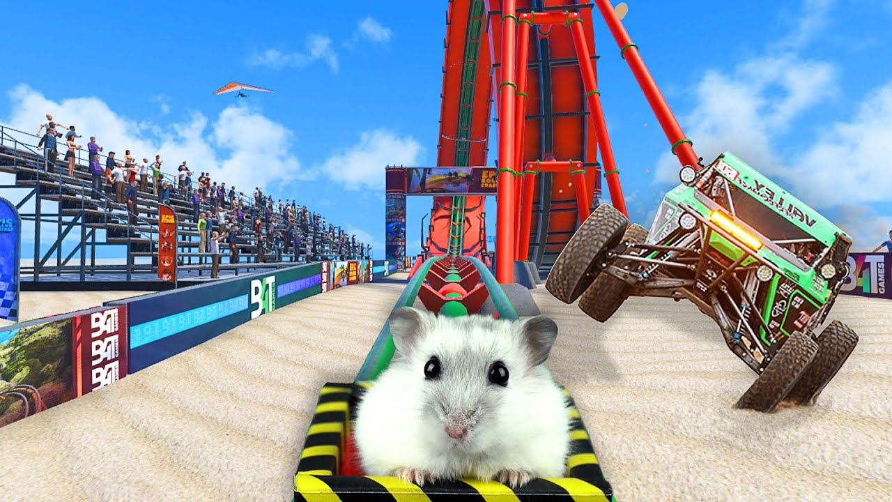 Hamster in Roller Coaster in the DESERT RACE | Hamster in virtual ...