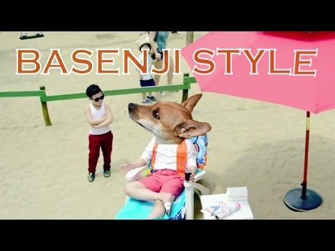 Basenji Style (Remix) - Yodeling Dog In Gangnam Style Parody - YouTube