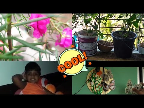 Baranda Tour//Bangladeshi baranda decorating Ideas with DIY 2021 ...