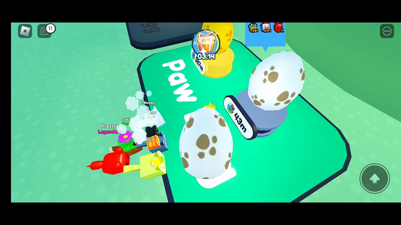 pet simulator cat update - YouTube