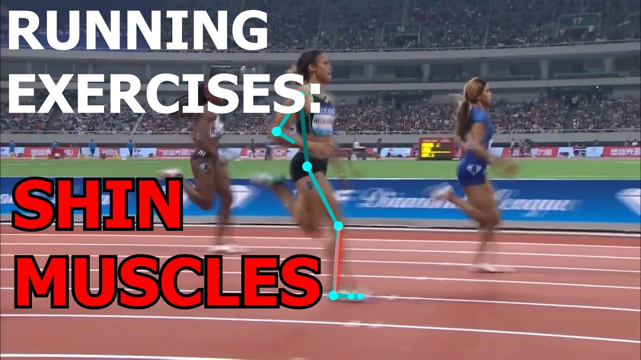 Running Exercises: How the SHIN MUSCLES work during RUNNING - YouTube